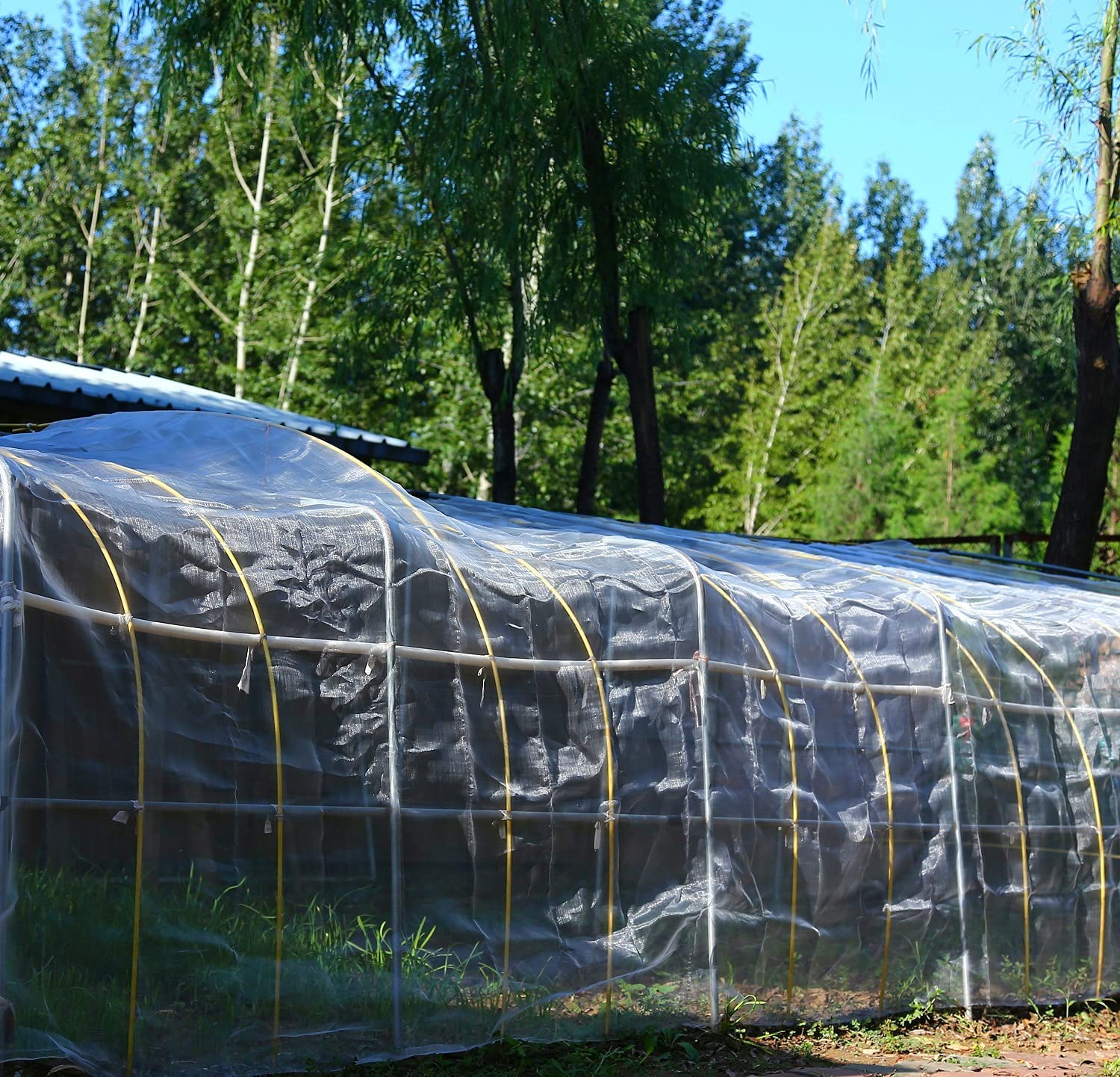 Anti Insect Net factory & supplier in China - BN Netting